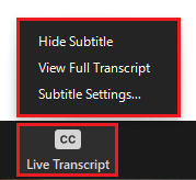 CarmenZoom Live Transcriptions | Teaching and Learning Resource Center